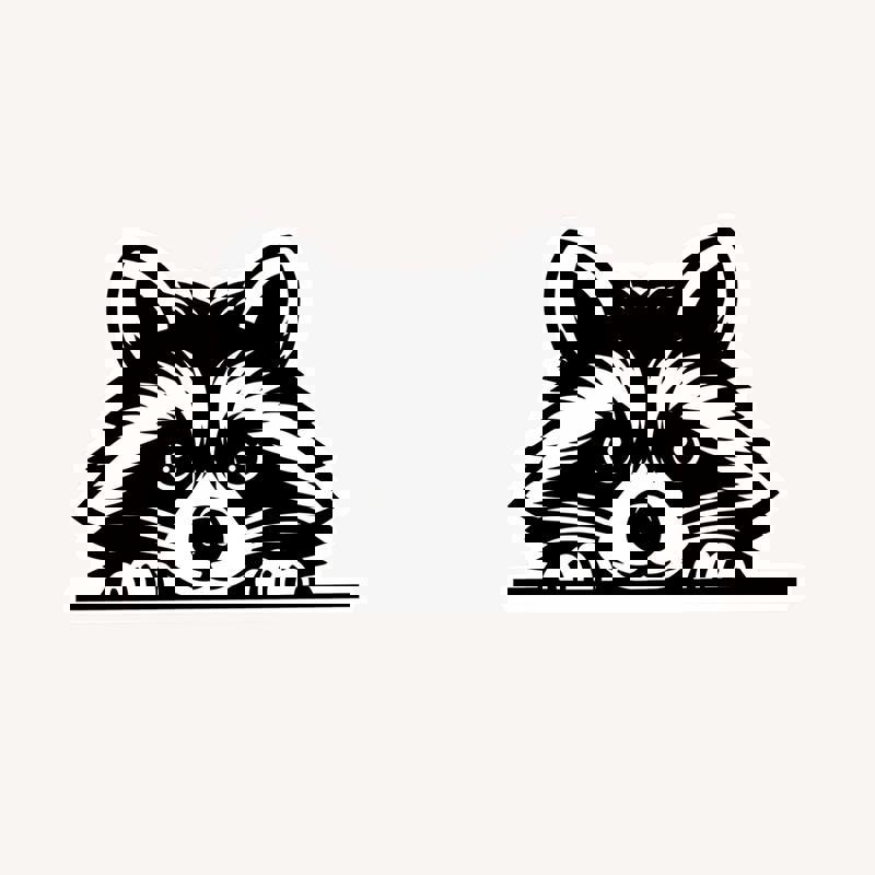 Raccoon Peeker from Hot Cocoa Mug Sticker - Raccsy